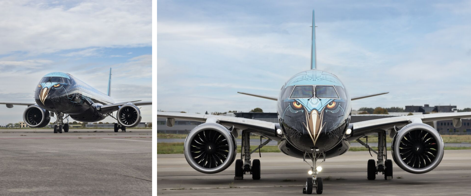 7 of the most unusual and impressive aircraft liveries | MTB Events